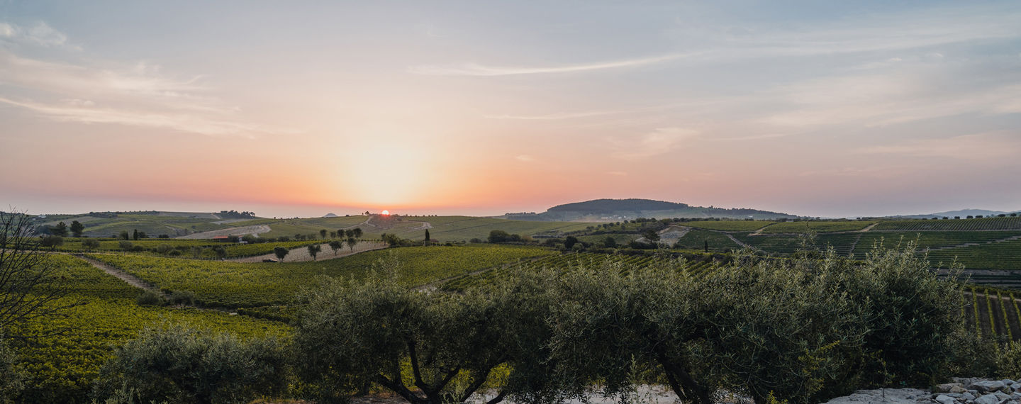 Wine tourism - Quinta da Faísca